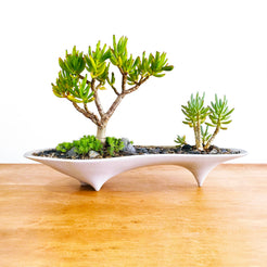 Island Planter, concrete MODERN PLANTER – Objects for Plant Display