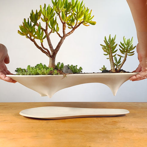 Island Planter, concrete MODERN PLANTER – Objects for Plant Display