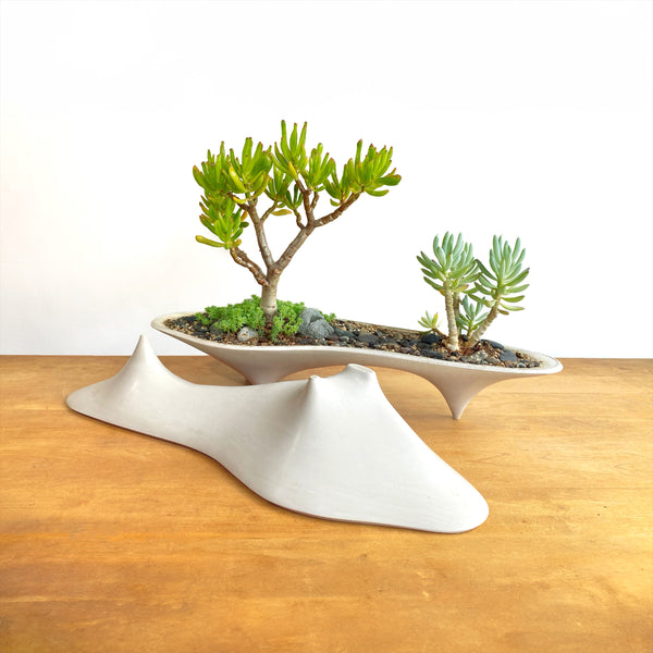 Island Planter, concrete MODERN PLANTER – Objects for Plant Display