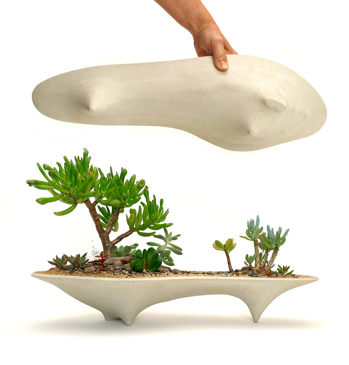 Island Planter, concrete MODERN PLANTER – Objects for Plant Display