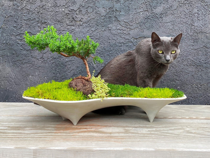 Island Planter, concrete MODERN PLANTER – Objects for Plant Display
