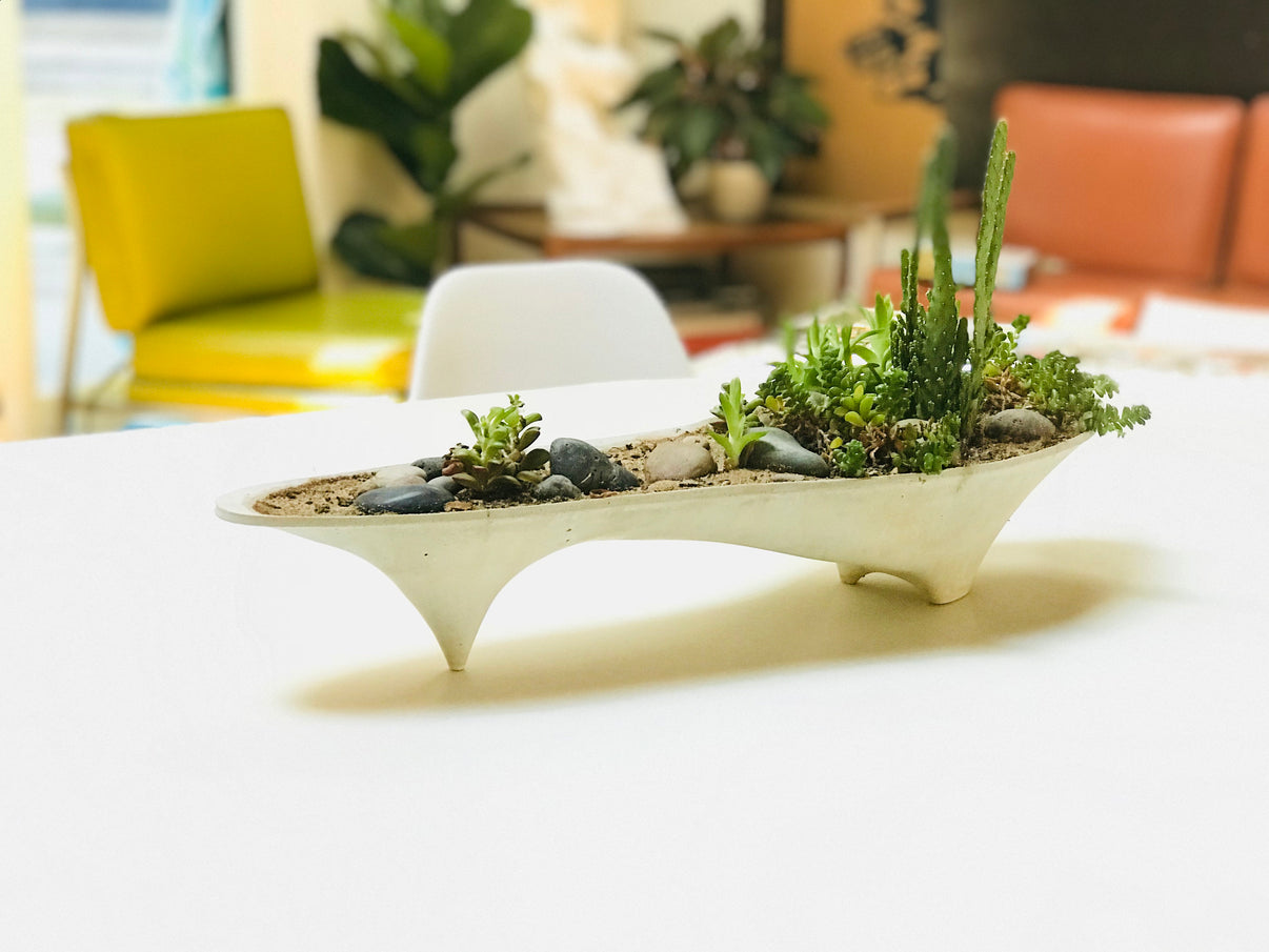 Island Planter, concrete MODERN PLANTER – Objects for Plant Display