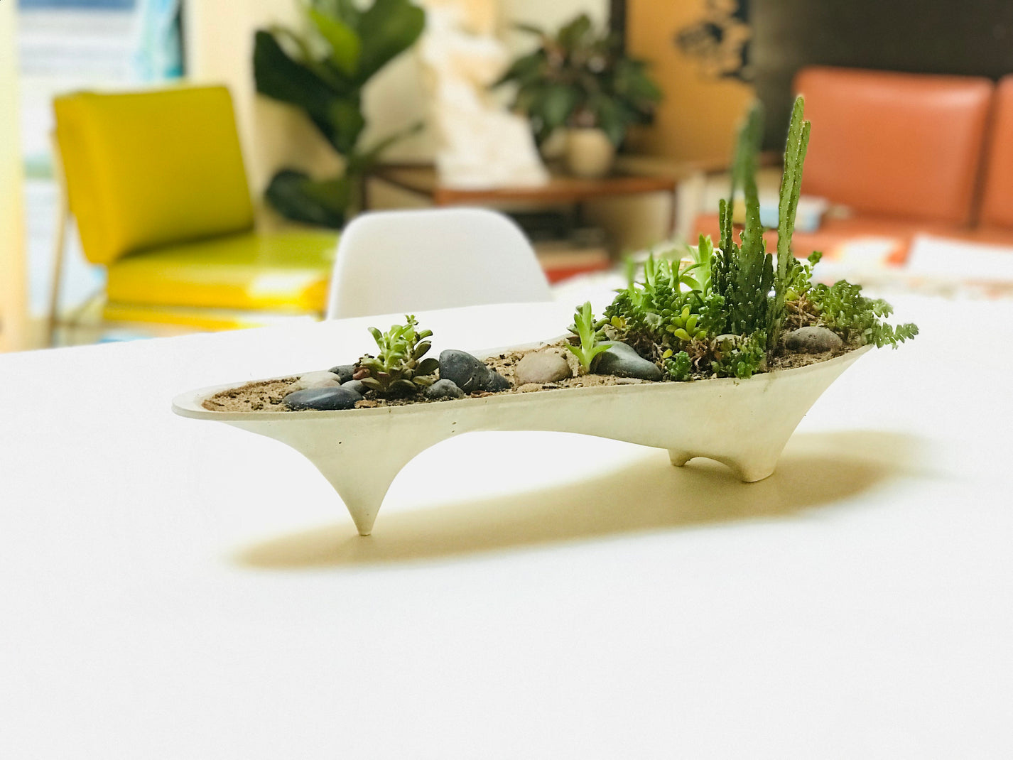 Island Planter, concrete MODERN PLANTER – Objects for Plant Display