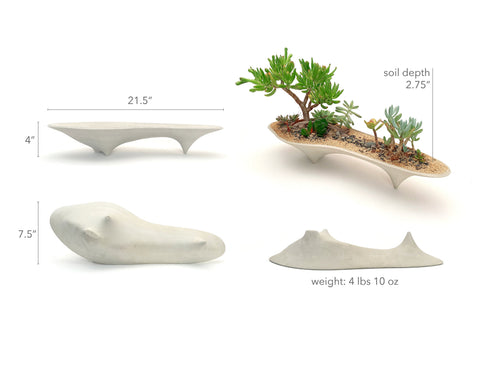 Island Planter, concrete MODERN PLANTER – Objects for Plant Display