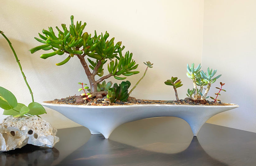Island Planter, concrete MODERN PLANTER – Objects for Plant Display